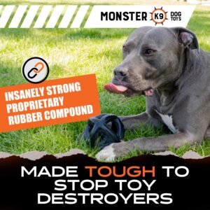 Monster K9 Ring Ball & Chew Stick