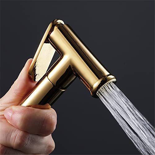 ZLOCYIVHE Bidet Sprayer for Toilet, Handheld Cloth Diaper Sprayer, Bathroom Jet Sprayer Kit Spray Attachment with Hose and Shower Angle Valve,Titanium Gold(Titanium Gold)