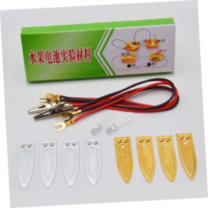 Toyvian 2 Sets Fruit Power Generation Experiment Equipment Lemon Battery Kit Fruit Battery Experimental Supplies Toy Experiments DIY Fruit Battery Power Experiment Supplies Metal