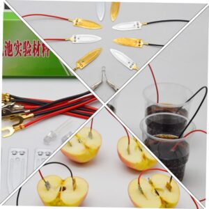 Toyvian 2 Sets Fruit Power Generation Experiment Equipment Lemon Battery Kit Fruit Battery Experimental Supplies Toy Experiments DIY Fruit Battery Power Experiment Supplies Metal