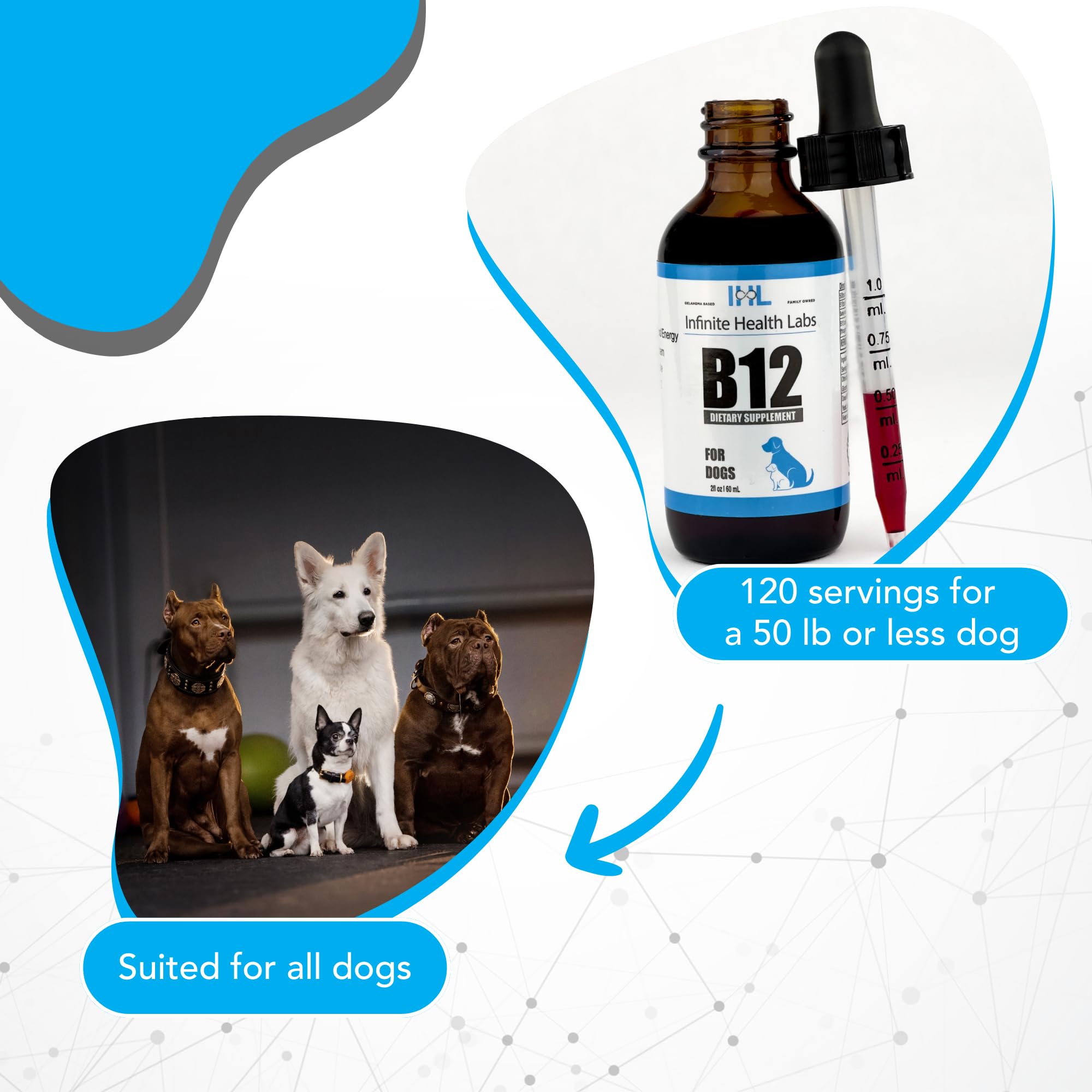 Liquid Vitamin B-12 for Dogs - Methylcobalamin Liquid Supplement for Pets - Dog Vitamins for Medium & Large Breed - Pet Vitamins and Supplements - Dog Multivitamins Liquid