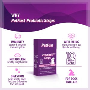 Petfast Probiotic Strips for Dogs and Cats, Pumpkin Flavor, 10 Billion CFUs, 30 Fast Dissolving Oral Strips, Improved Gut Health