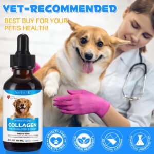 Collagen for Dogs - Skin and Coat Supplement for Dogs, Dog Liquid Collagen, Collagen Supplement for Dogs - Collagen with Biotin, MSM & Ginger - 2 fl oz