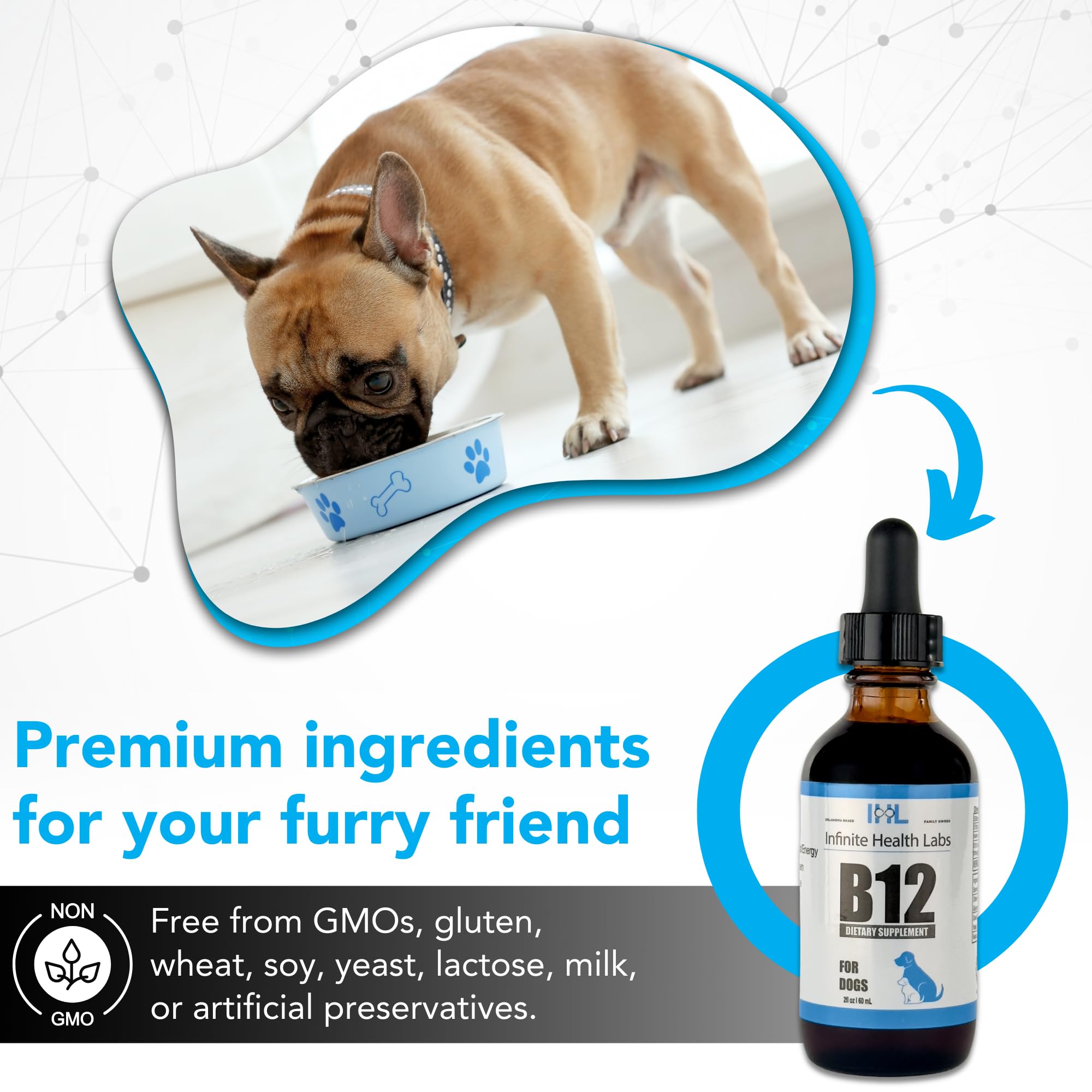 Liquid Vitamin B-12 for Dogs - Methylcobalamin Liquid Supplement for Pets - Dog Vitamins for Medium & Large Breed - Pet Vitamins and Supplements - Dog Multivitamins Liquid