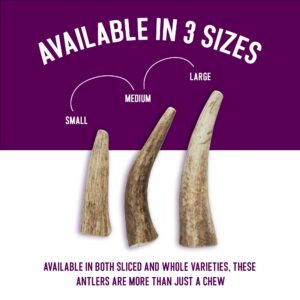 Health Extension Natural Elk Antlers for Dogs, Large Whole – Long-Lasting Chews for Aggressive Chewers, Dental Health Promotion, Ideal Puppy Training Treat