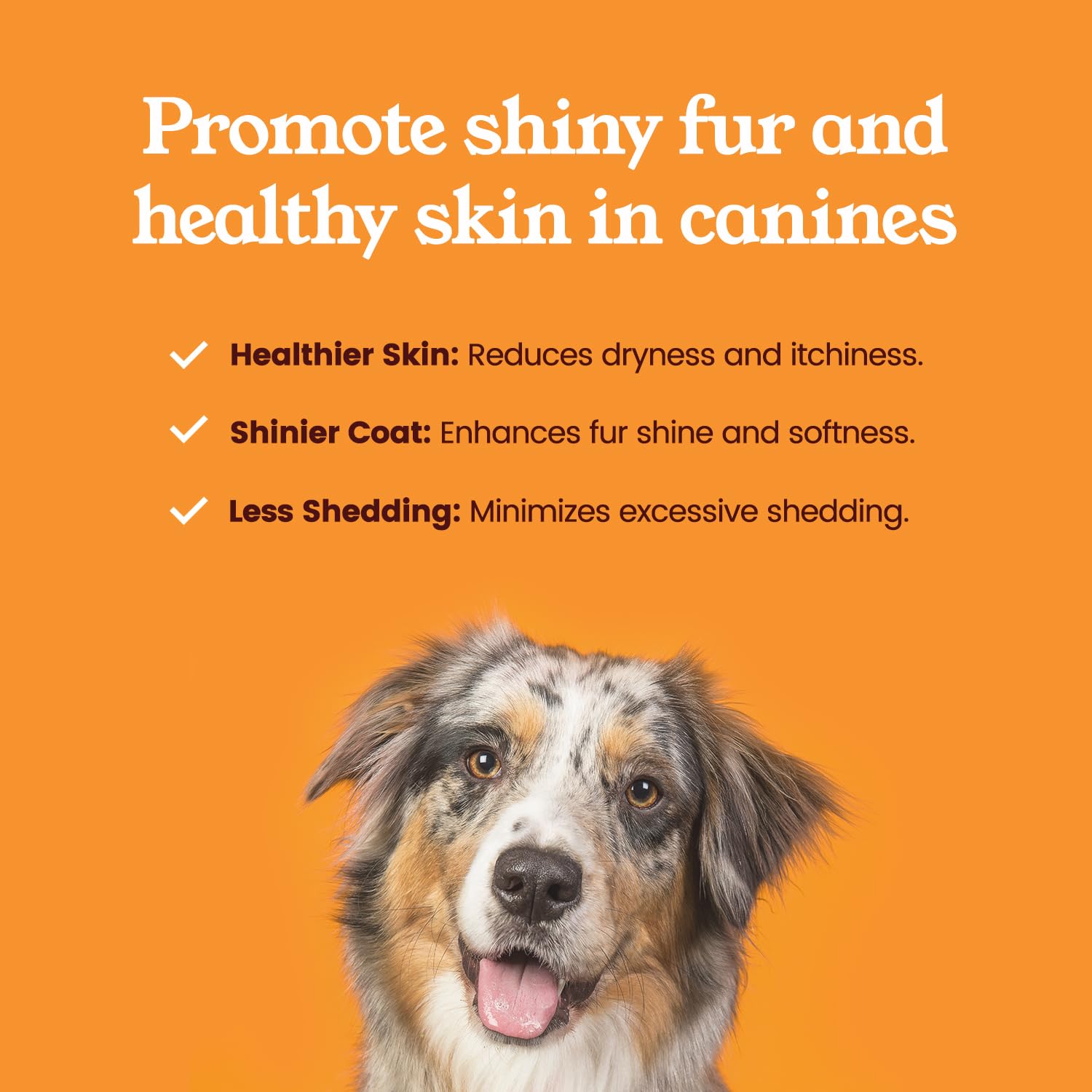 Skin & Coat Chews