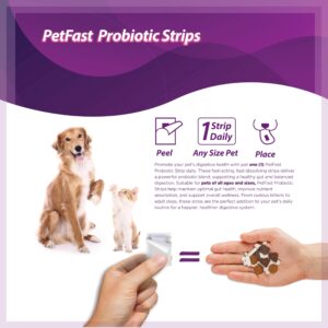 Petfast Probiotic Strips for Dogs and Cats, Pumpkin Flavor, 10 Billion CFUs, 30 Fast Dissolving Oral Strips, Improved Gut Health