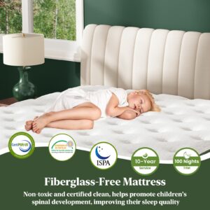 Full Mattress, 12-Inch Plush Luxury Hybrid Mattress, Fiberglass-Free Mattress in a Box with Gel Memory Foam, Individual Pocket Spring for Motion Isolation-Edge Support,CertiPUR-US,100 Nights Trial