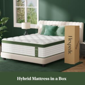 Queen Mattress, 12-Inch Plush Luxury Hybrid Mattress, Fiberglass-Free Mattress in a Box with Gel Memory Foam, Individual Pocket Spring for Motion Isolation-Edge Support,CertiPUR-US,100 Nights Trial