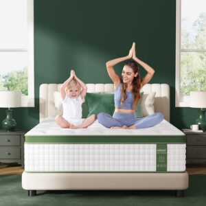 Queen Mattress, 14-Inch Plush Luxury Hybrid Mattress, Fiberglass-Free Mattress in a Box with Gel Memory Foam, Individual Pocket Spring for Motion Isolation-Edge Support,CertiPUR-US,100 Nights Trial