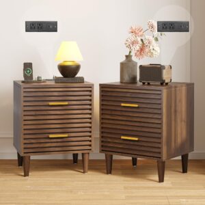 alohappy night stand with charging station set of 2, bedside table with 2 drawers, mid century modern end table, bed side table with usb ports and outlets, nightstand for bedroom, brown 2pcs