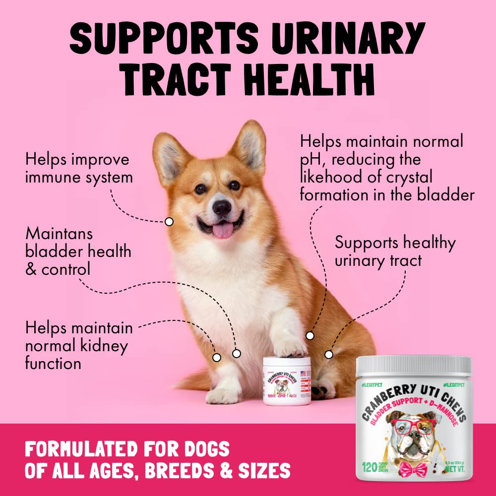 Cranberry UTI Chews for Dogs Bladder Suppot + D-Mannose Supports Kidney Urinary Tract 120 Chews and Probiotics for Dogs Natural Digestive Enzymes Prebiotics for Allergy 120 Chews