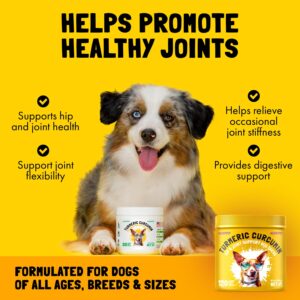 Turmeric Curcumin Hip & Joint Dogs Supplement Anti-Inflammatory Support 120 Chews and Probiotics for Dogs Natural Digestive Enzymes Prebiotics for Allergy 120 Chews