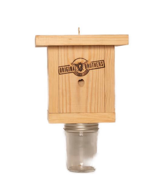 Original B Brothers Carpenter Bee Trap - Small