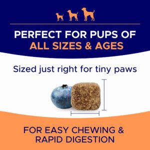 Omega 3 + Dog Allergy Bundle - Skin & Coat Chews + Anti-Itch Relief Supplement - Omega 3 Fish Oil, EPA&DHA Fatty Acids - Itchy Skin & Paw Licking Relief + Allergy Support - 540 Chews - Made in USA