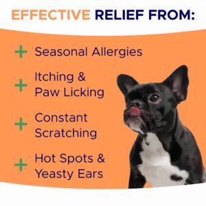 Dog Allergy + Probiotic Bundle - Anti-Itch Skin & Coat Supplement + Gut Health & Digestive Support - Omega 3 Fish Oil & Probiotics - Itching&Paw Licking + Upset Stomach Relief - 300 Chews -Made in USA