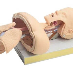 Oral Nasal Intubation Manikin,First Aid Tracheal Intubation with Alarm Function,Intubation Manikin Airway Management Trainer Advanced Human Tracheal Intubation Model