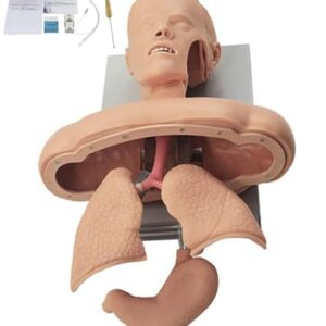 Oral Nasal Intubation Manikin, Advanced Human Tracheal Intubation Training Model Airway Management Practice Mold Teaching Instrument Demonstration Anatomical Structure