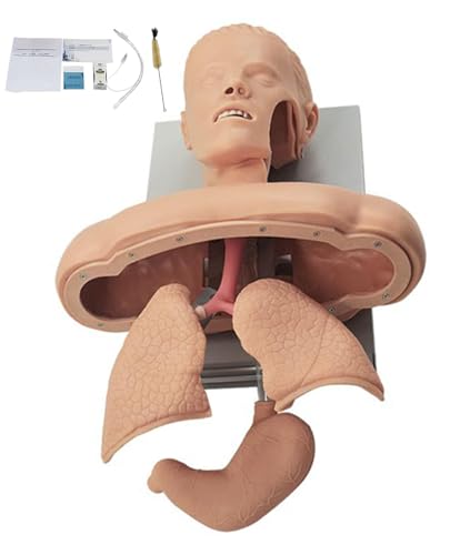 Oral Nasal Intubation Manikin, Advanced Human Tracheal Intubation Training Model Airway Management Practice Mold Teaching Instrument Demonstration Anatomical Structure