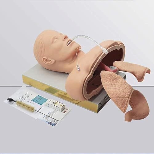 Oral Nasal Intubation Manikin, Advanced Human Tracheal Intubation Training Model Airway Management Practice Mold Teaching Instrument Demonstration Anatomical Structure