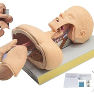 Oral Nasal Intubation Manikin, Advanced Human Tracheal Intubation Training Model Airway Management Practice Mold Teaching Instrument Demonstration Anatomical Structure