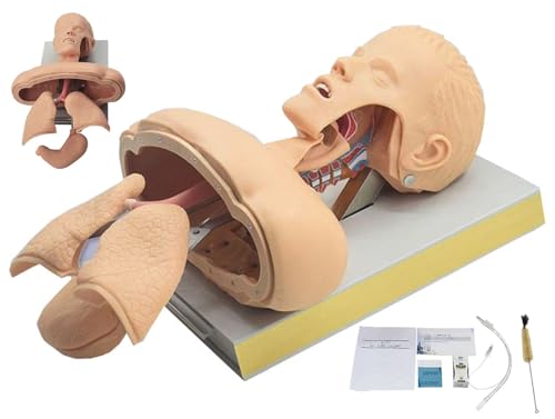 Oral Nasal Intubation Manikin, Advanced Human Tracheal Intubation Training Model Airway Management Practice Mold Teaching Instrument Demonstration Anatomical Structure