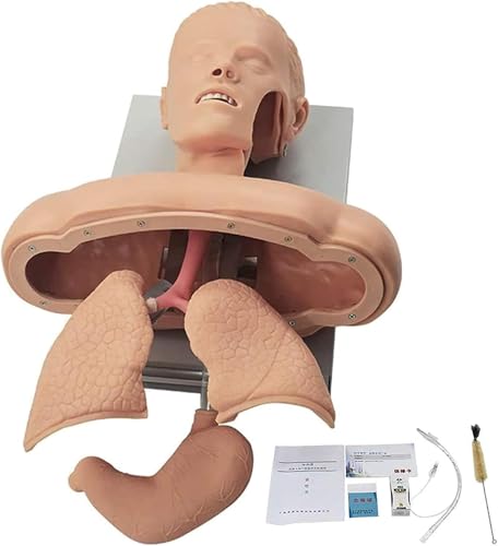 Oral Nasal Intubation Manikin,First Aid Tracheal Intubation with Alarm Function,Intubation Manikin Airway Management Trainer Advanced Human Tracheal Intubation Model