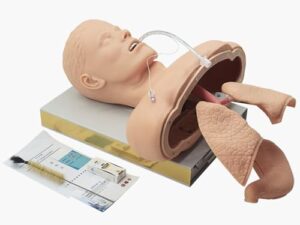 oral nasal intubation manikin,first aid tracheal intubation with alarm function,intubation manikin airway management trainer advanced human tracheal intubation model