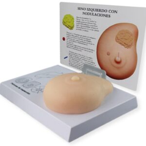 Silicone Breast Model Manikins Medical Teaching Soft Silicone Breast Model Pathological Single Breast Self-Examination Model with Benign Tumor Foreign Body