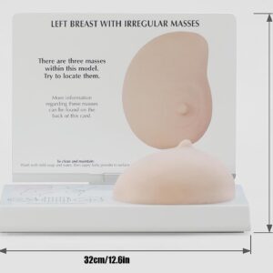 Silicone Breast Model Manikins Medical Teaching Soft Silicone Breast Model Pathological Single Breast Self-Examination Model with Benign Tumor Foreign Body