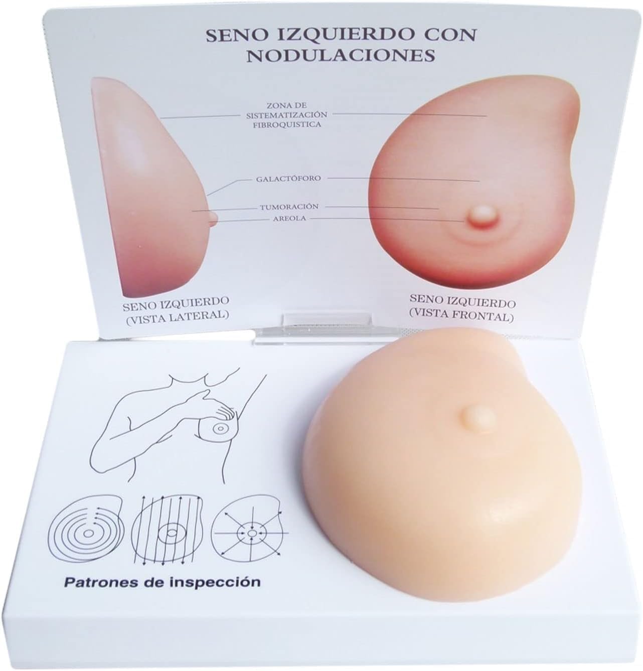 Silicone Breast Model Manikins Medical Teaching Soft Silicone Breast Model Pathological Single Breast Self-Examination Model with Benign Tumor Foreign Body