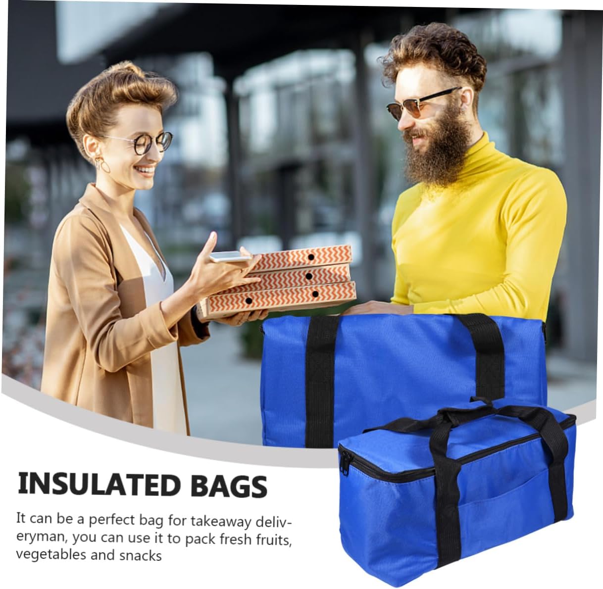 Insulated Bag Containers for Food Portable Cooler Food Containers Large Container Portable Lunch Cooler