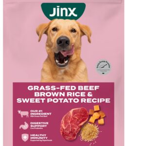 Beef, Brown Rice & Sweet Potato Dry Dog Food, 4 lb. Bag HIGH Protein from Real Beef BIOTIN and Fish Oil Prevent Against Dry Skin and Aid in Healthy Muscle Generation.