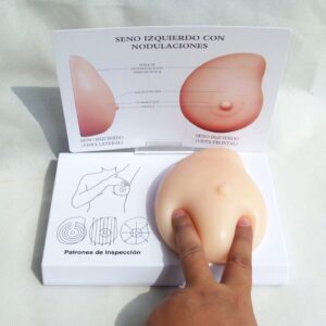 Silicone Breast Model Manikins Medical Teaching Soft Silicone Breast Model Pathological Single Breast Self-Examination Model with Benign Tumor Foreign Body