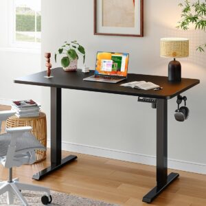 ErGear Whole Piece Standing Desk with 48x30 inch Desktop, Adjustable Stand Up Desk for Home Office, Electric Computer Desk Workstation with Cable Management Tray, Black, EGESD65B