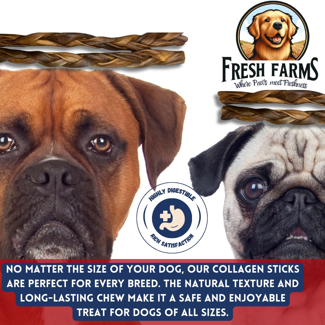 Fresh Farms Braided Collagen Sticks for Dogs 10 Pack - 6 Inches - Long-Lasting Alternative to Bully Sticks, Rawhide-Free Collagen Chews w/Chondroitin & Glucosamine for Joint Support & Dental Health