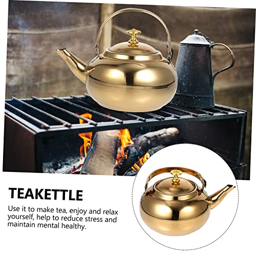 1pc Stainless Steel Exquisite Pot Water Kettle Portable Stove Coffee Pot Portable Espresso Machine Household Teakettle Portable Heater Gas Practical Tea Kettle Portable Teakettle PAMINGONO