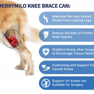 MerryMilo Dog Knee Brace for Hind and Rear Leg, Dog Hip Brace Support for Dog Ligament Injury Joint Pain, Size XL