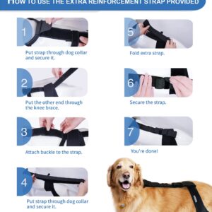 MerryMilo Dog Knee Brace for Hind and Rear Leg, Dog Hip Brace Support for Dog Ligament Injury Joint Pain, Size XL