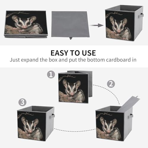 Australian Sugar Glider Foldable Storage Bins with Handles Storage Cubes Closet Organizer for Living Room Bedroom 6PCS