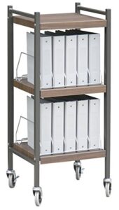 omnimed american made mini chart rack (woodgrain)