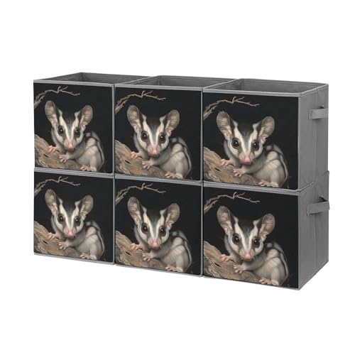 Australian Sugar Glider Foldable Storage Bins with Handles Storage Cubes Closet Organizer for Living Room Bedroom 6PCS