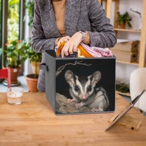 Australian Sugar Glider Foldable Storage Bins with Handles Storage Cubes Closet Organizer for Living Room Bedroom 6PCS