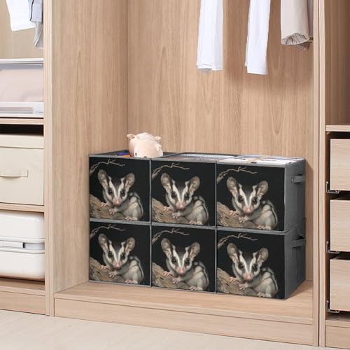 Australian Sugar Glider Foldable Storage Bins with Handles Storage Cubes Closet Organizer for Living Room Bedroom 6PCS