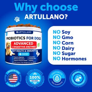 Probiotics for Dogs, Chews for Dogs - Probiotics & Prebiotic & Enzymes - Supports Digestion