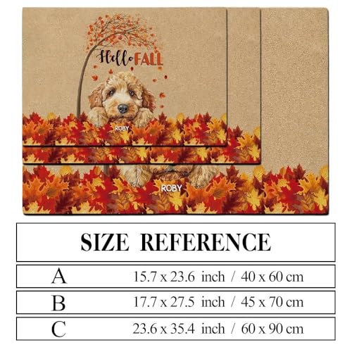 NeeQu Personalized Hello Fall Maple Leaves Door Mat Havanese Dog Autumn Decoration Doormat Home Entrance Way Floor Mat 23.6x35.4 Inch