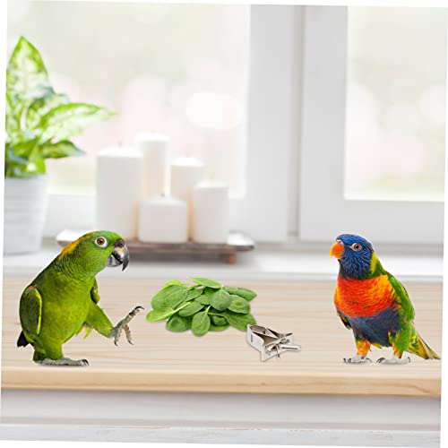 ORFOFE 6 Pcs Food Tongs Parrot Cage Food Clips Bird Foraging Toy Pet Supply Bird Vegetable Clip Hamster Feeder Clips Hamster Food Holder Clips Bird Cage Food Clips Silver Stainless Steel