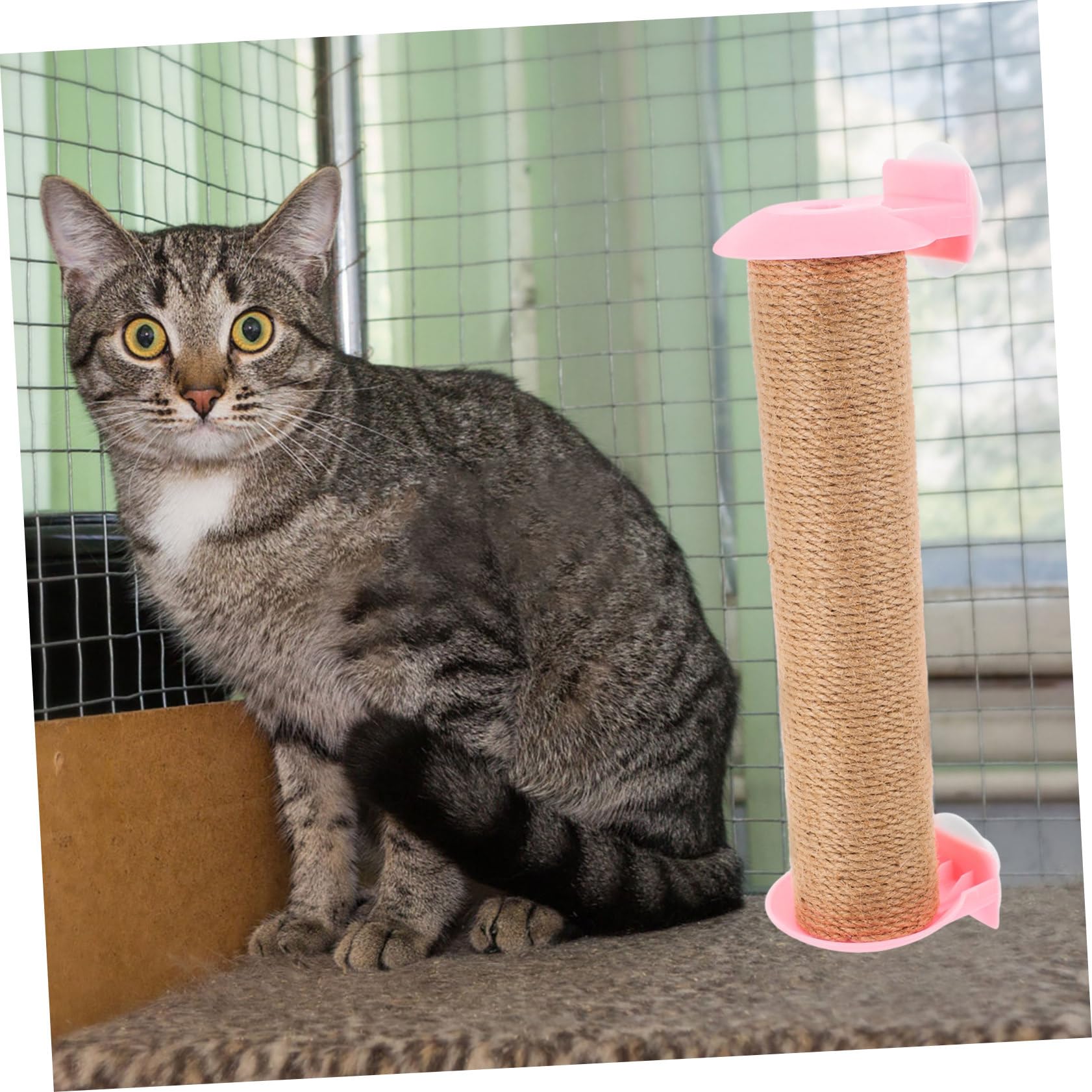 BESPORTBLE Cat Scratching Post Scratching Climbing Post Replacement Pole Cat Climbing Cage Supply Indoor Cat Scratcher Accessories Part for Cat Cages