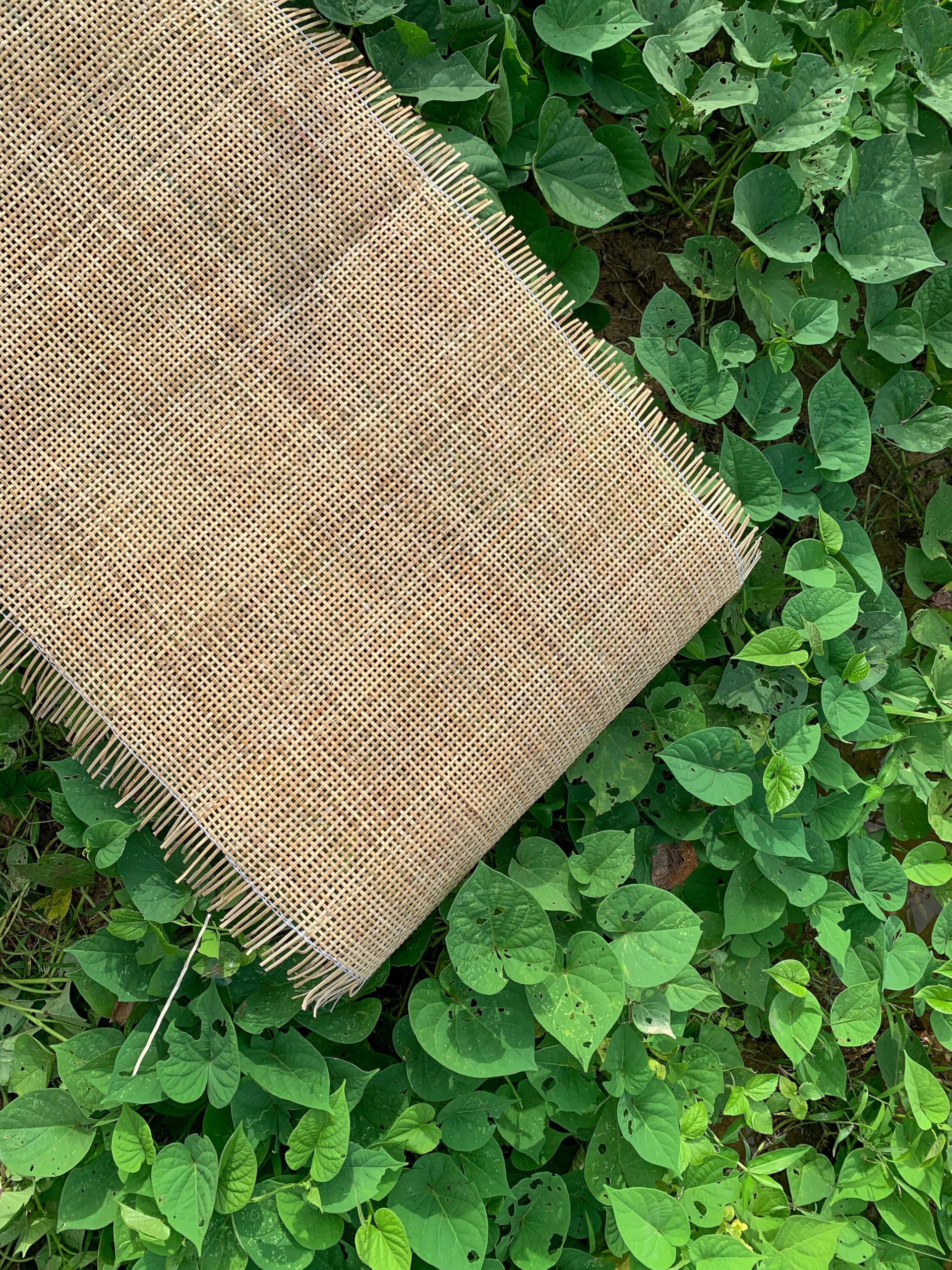 20" (1.7Feet) Width x 6.6 Feet Length Natural Rattan Roll, Rattan, Large Size Cane Webbing, Rattan Fabric, Caning Material, Cane Webbing Roll, Rattan Webbing from Origin Asia for Rattan Furniture