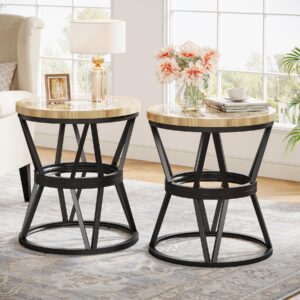 tribesigns side table set of 2, round carved end table for living room, bedroom, small side table with metal frame, accent coffee table, nightstand with acrylic tabletop